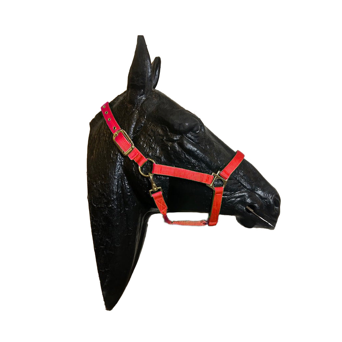 Valhoma Halter Medium Horse – Productos Veterinarios del Sur